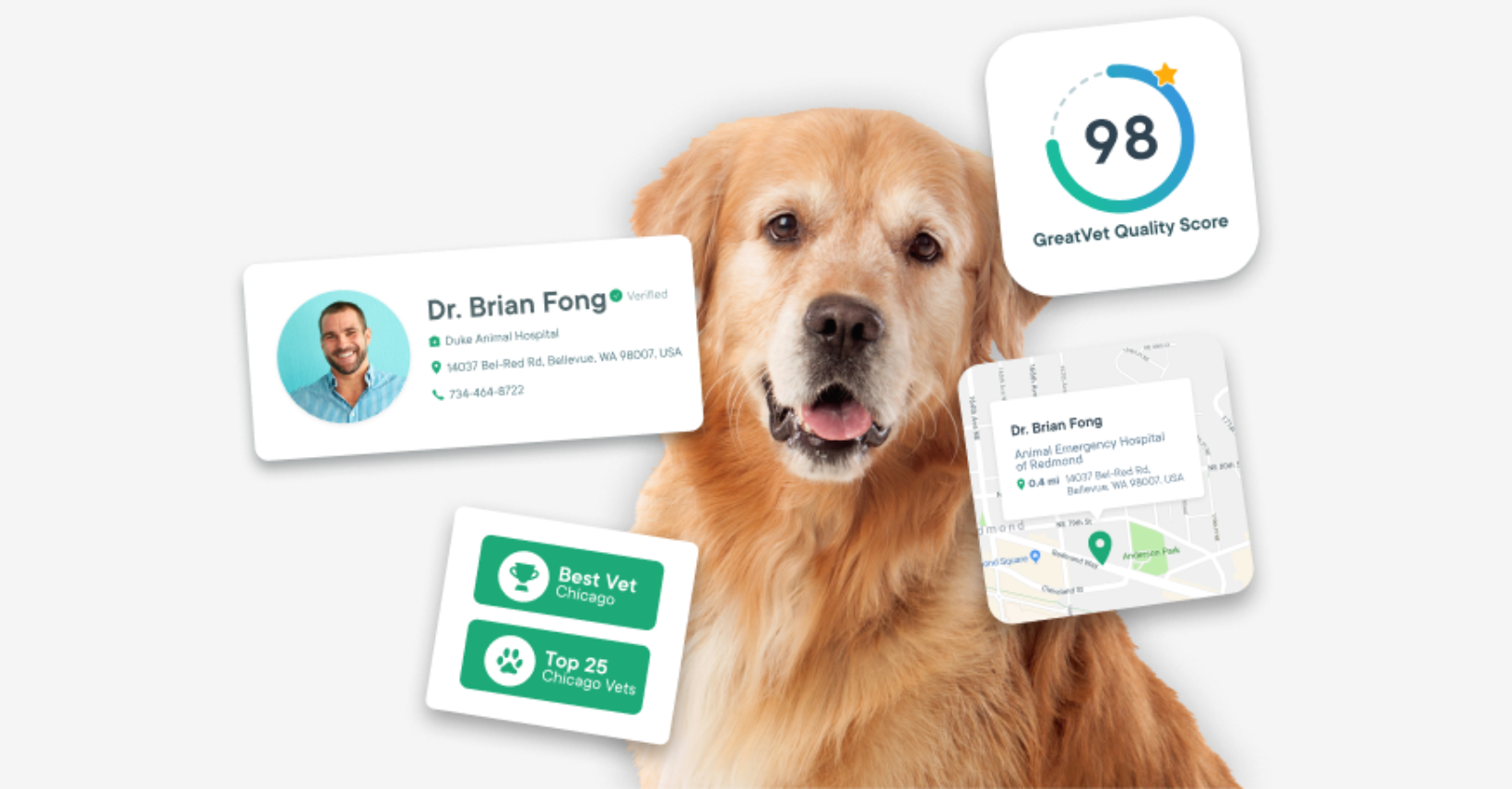 Find Trusted and Best Veterinarians Near You | Greatvet